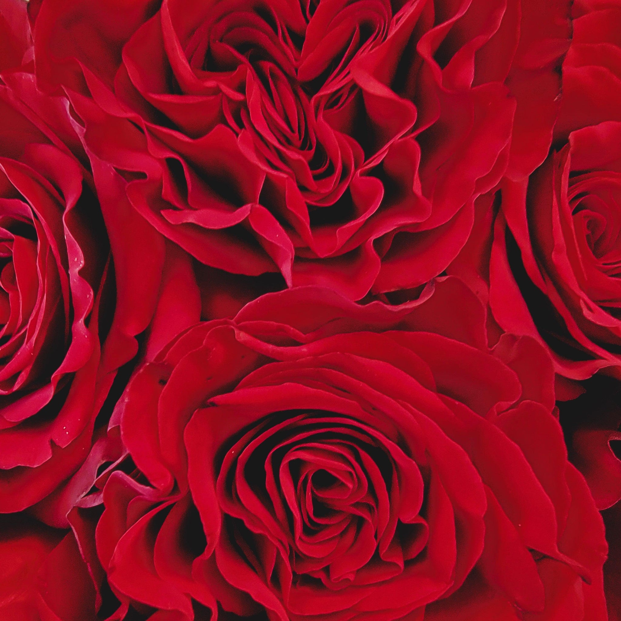 Hearts | Hearts Red Garden Rose Bouquet