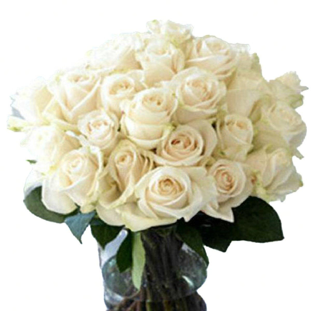 Long Stem White Rose Bouquet | Wholesale Roses – 48LongStems.com